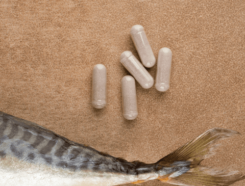 Collagen Complex – Theonia IE